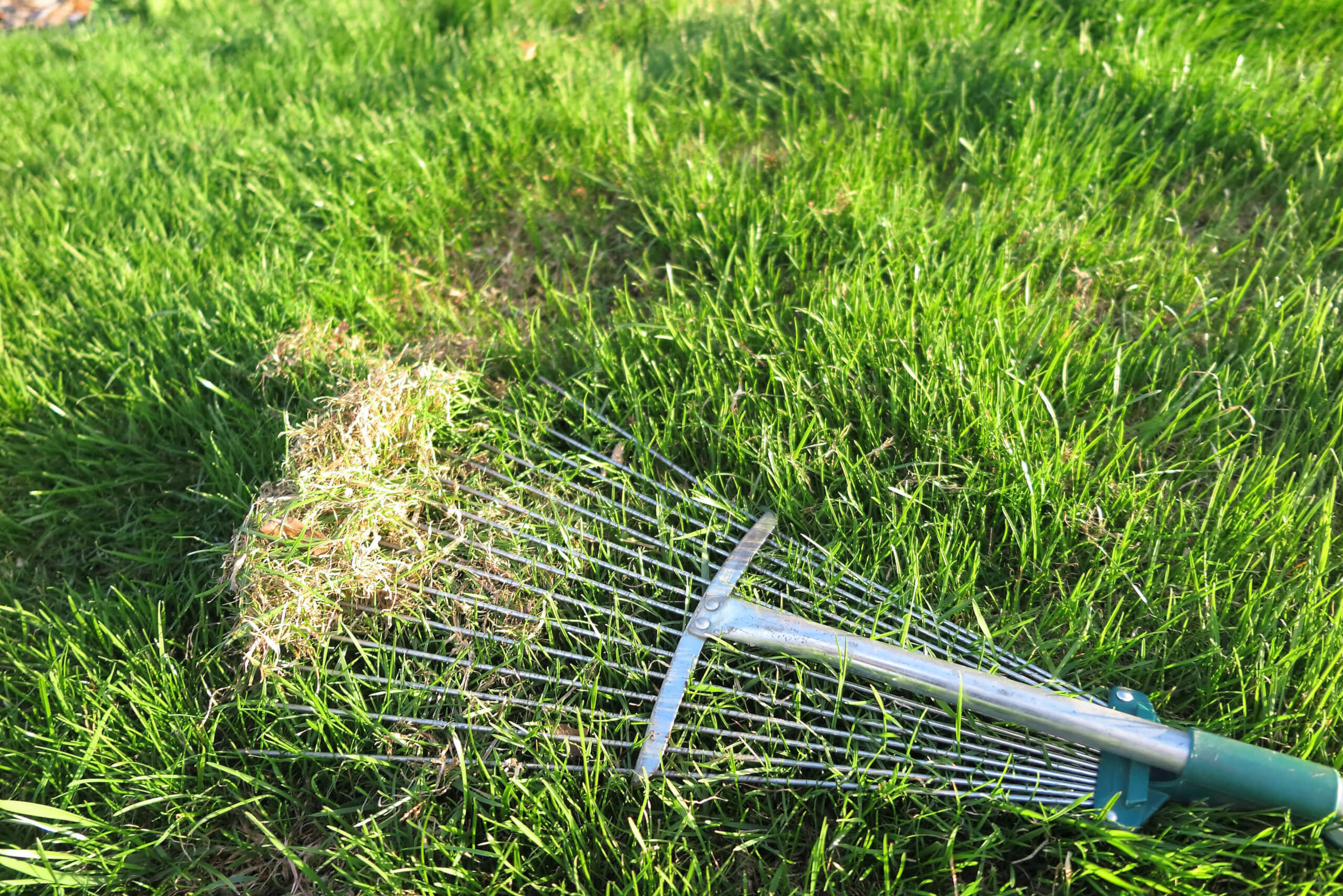 The Importance of Dethatching and Aeration - Duda Sod