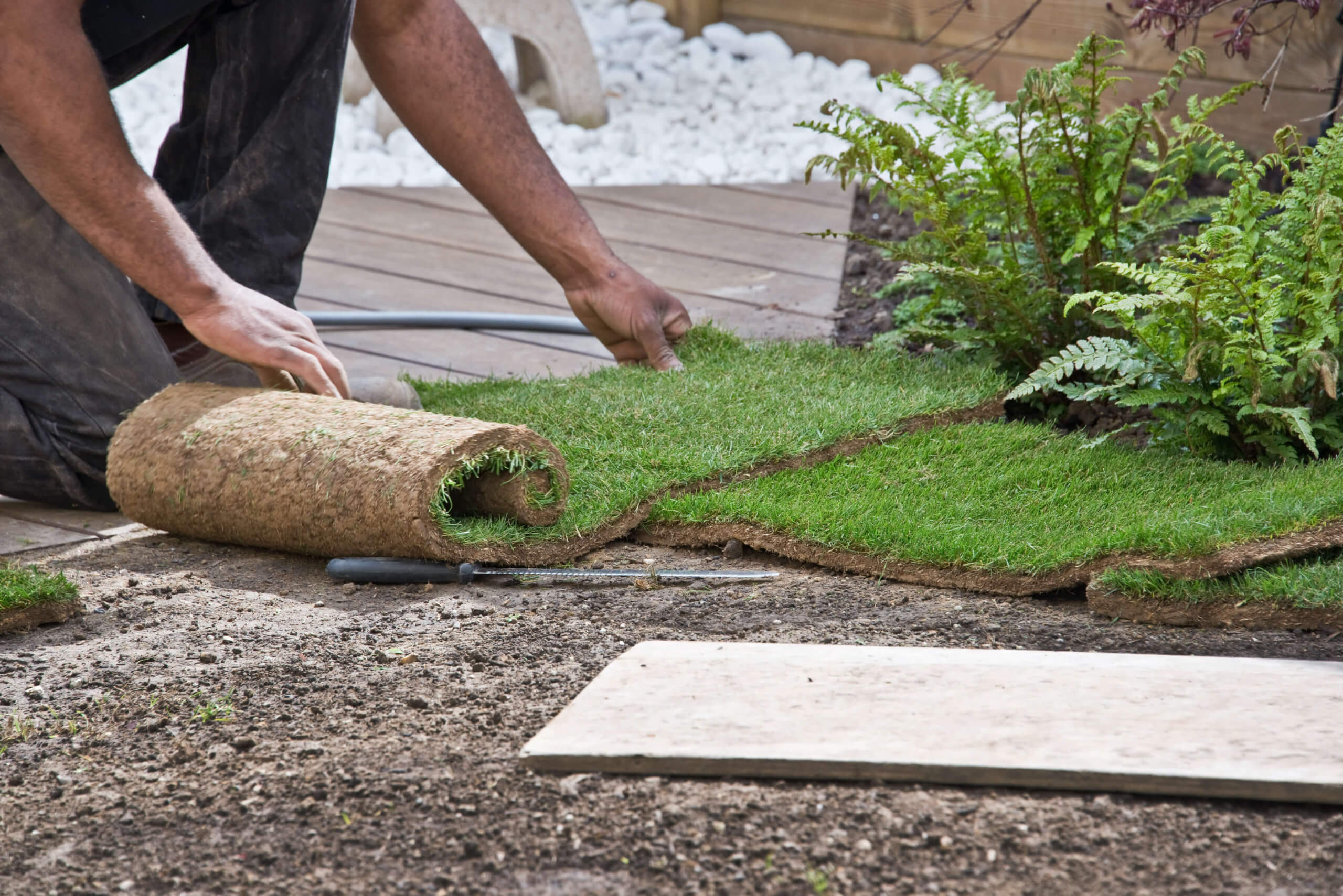 Tips for Installing Sod in Your Florida Lawn - Duda Sod