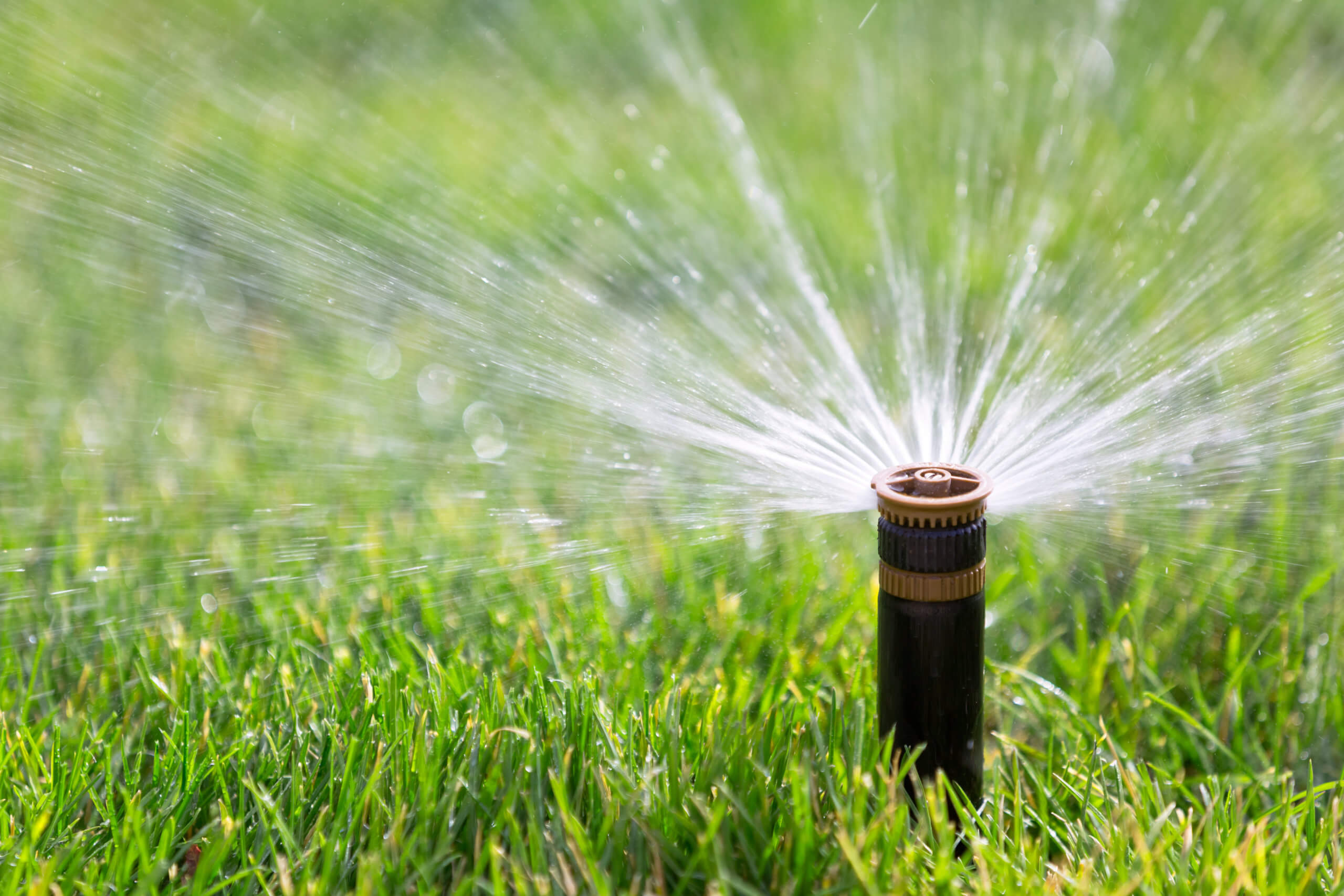 Updating Your Watering Schedule Tips - Duda Sod - Education