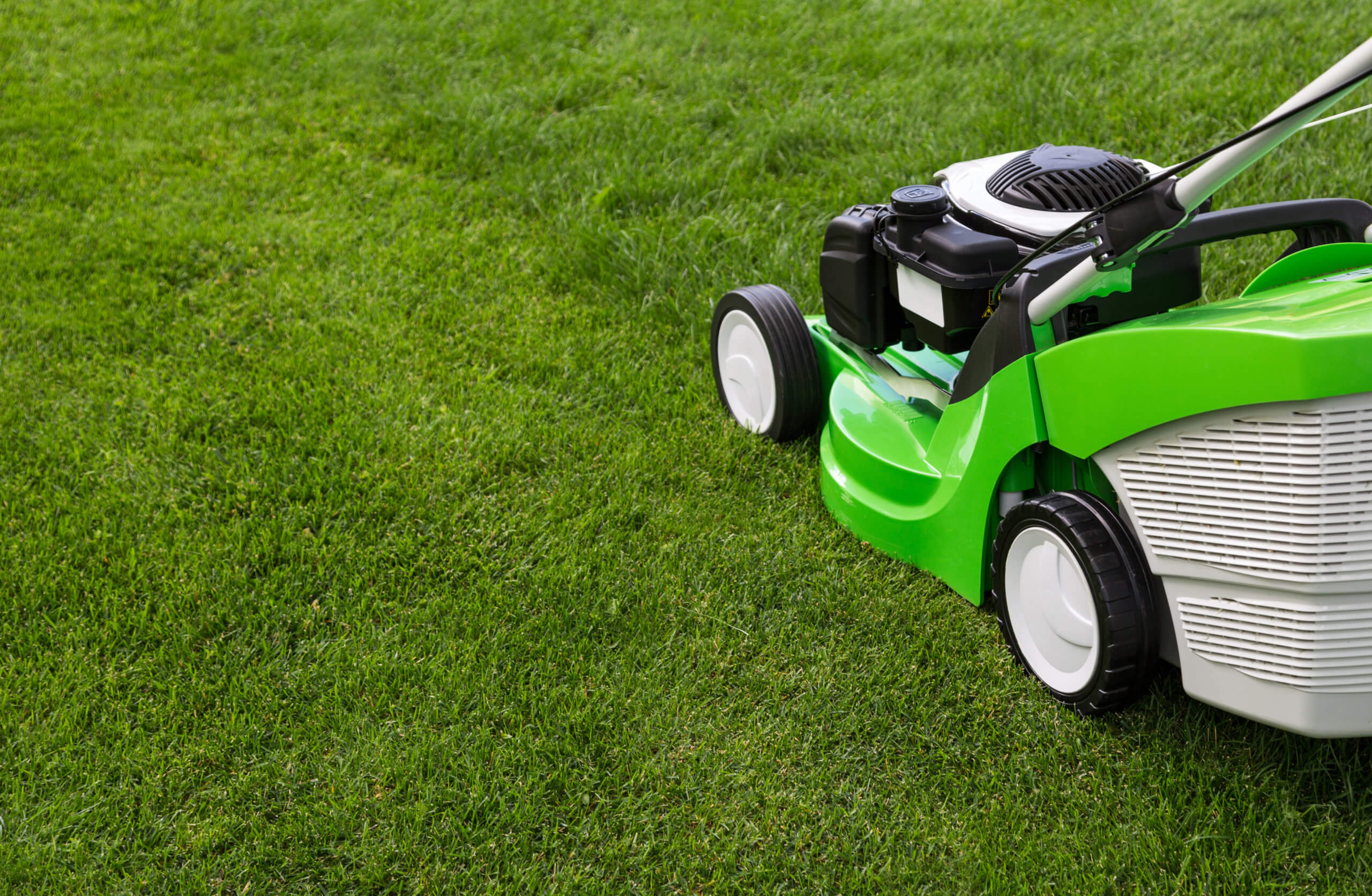 Identifying Common Florida Lawn Diseases and Treatment - Duda Sod