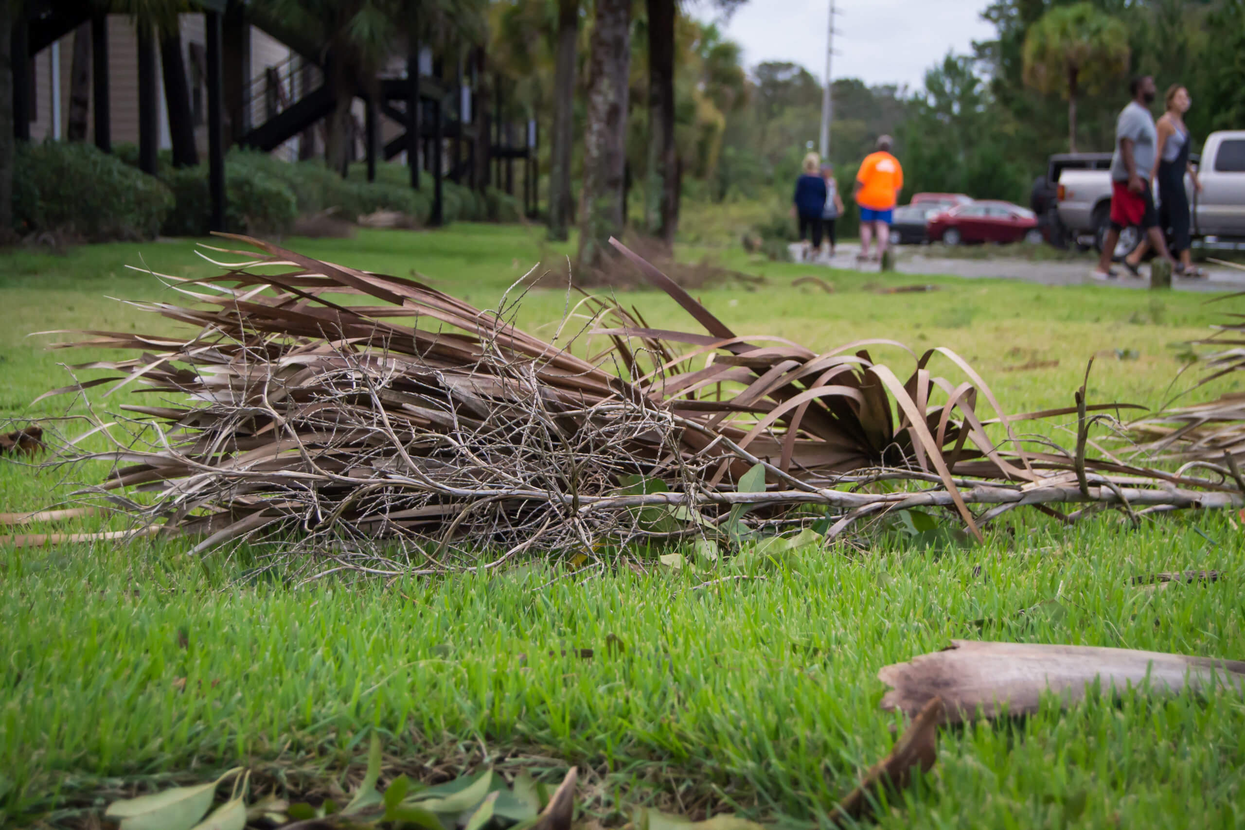 Hurricanes and Your Florida Lawn | Duda Sod