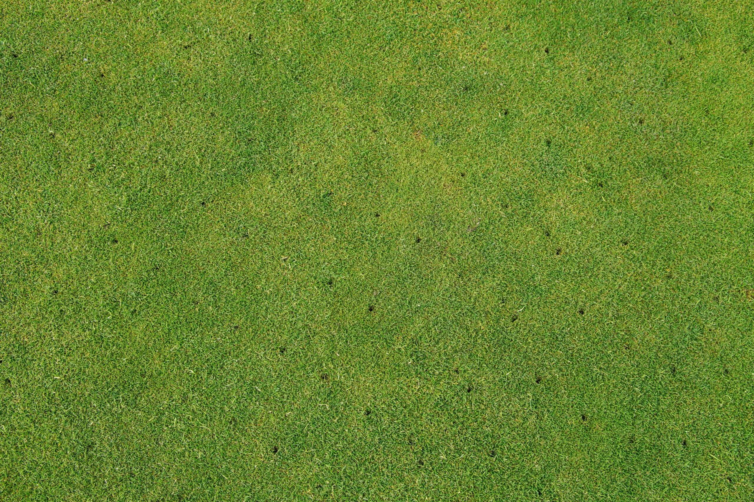Why Is Aeration Important for Your Florida Lawn? - Duda Sod