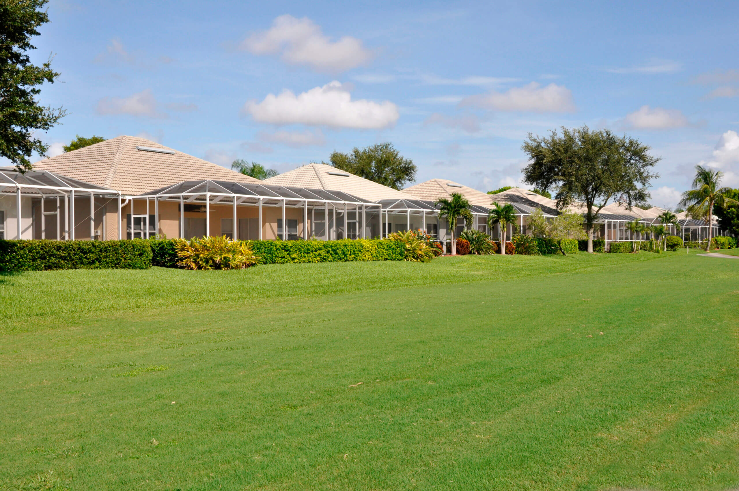 What Are The Best Florida Sod Types - Duda Sod