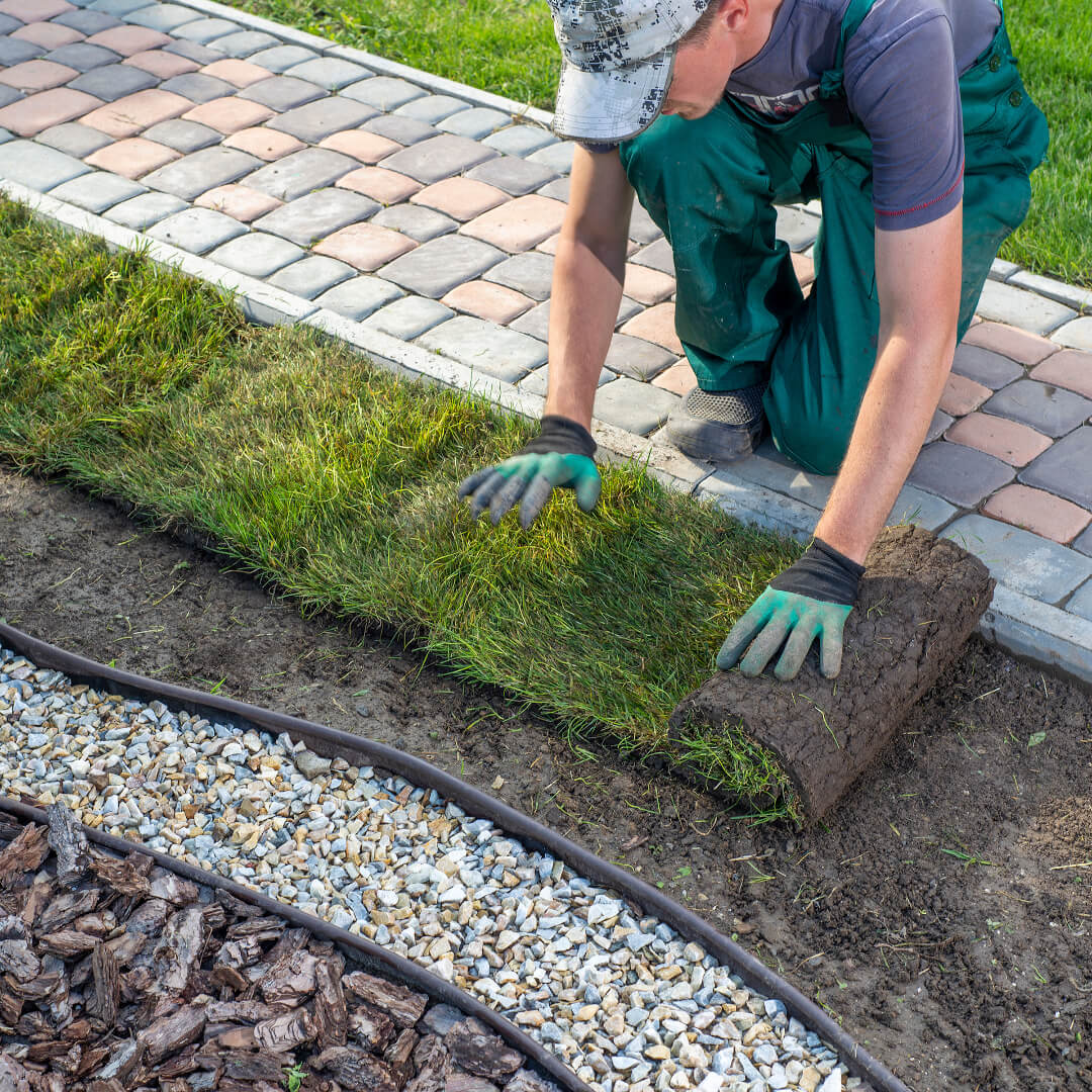 Top Reasons to Choose Grass Sod for Your Lawn - Duda Sod