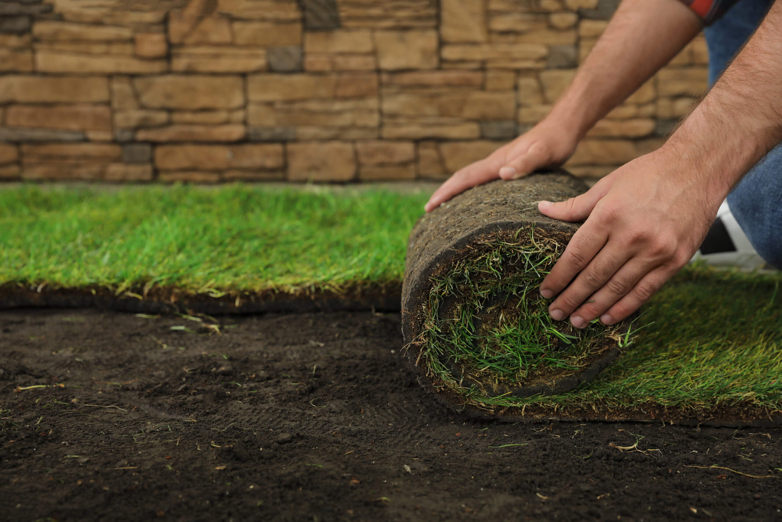 Quick and Easy Guide to Installing Grass Sod for a Beautiful Lawn