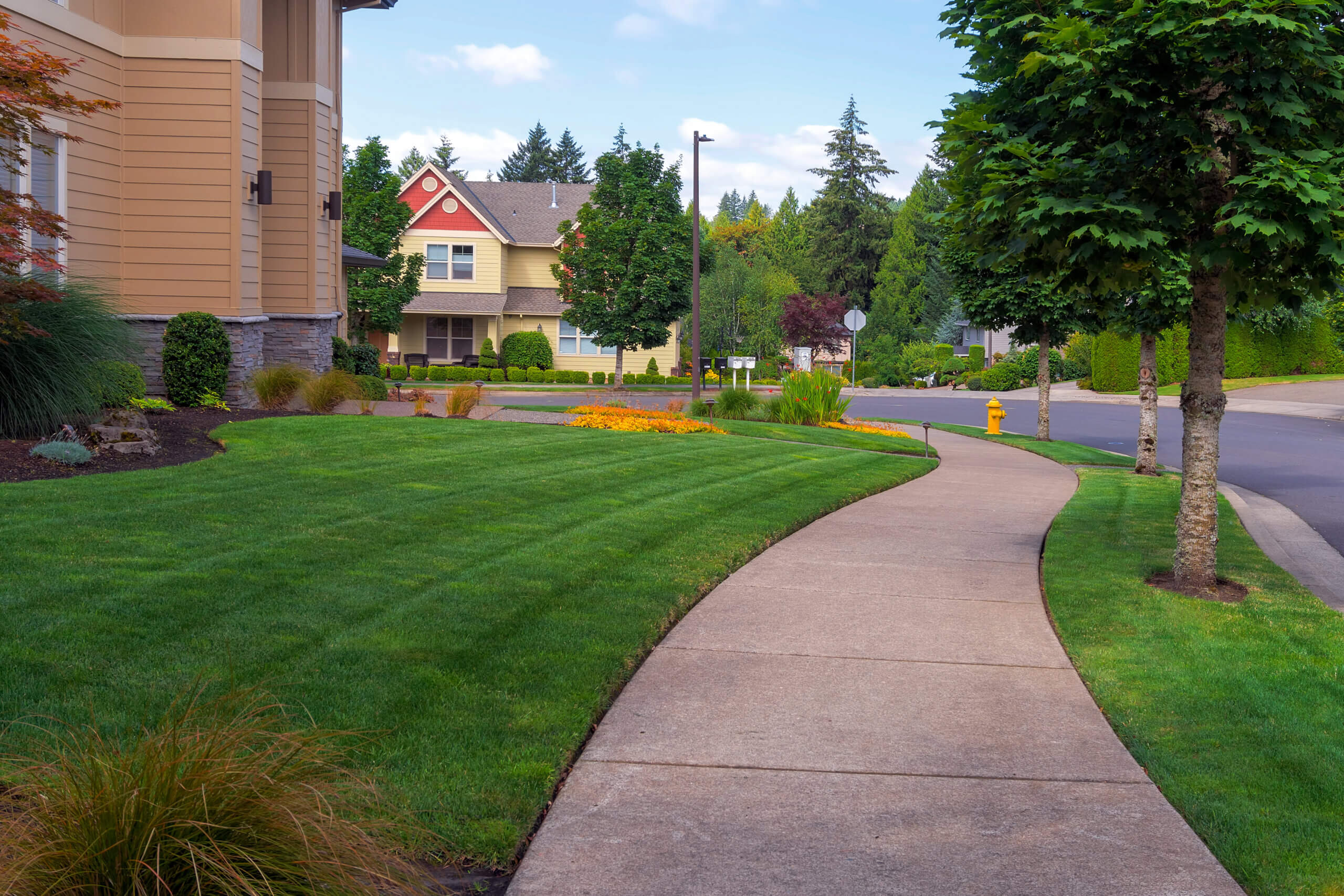 Sod Maintenance 101: How to Keep Your Lawn Healthy and Beautiful