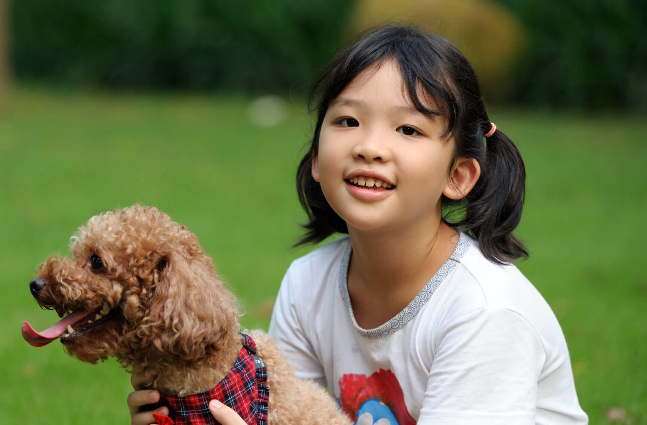 Empire Turf Zoysia: The Best Choice for Homeowners | Duda Sod