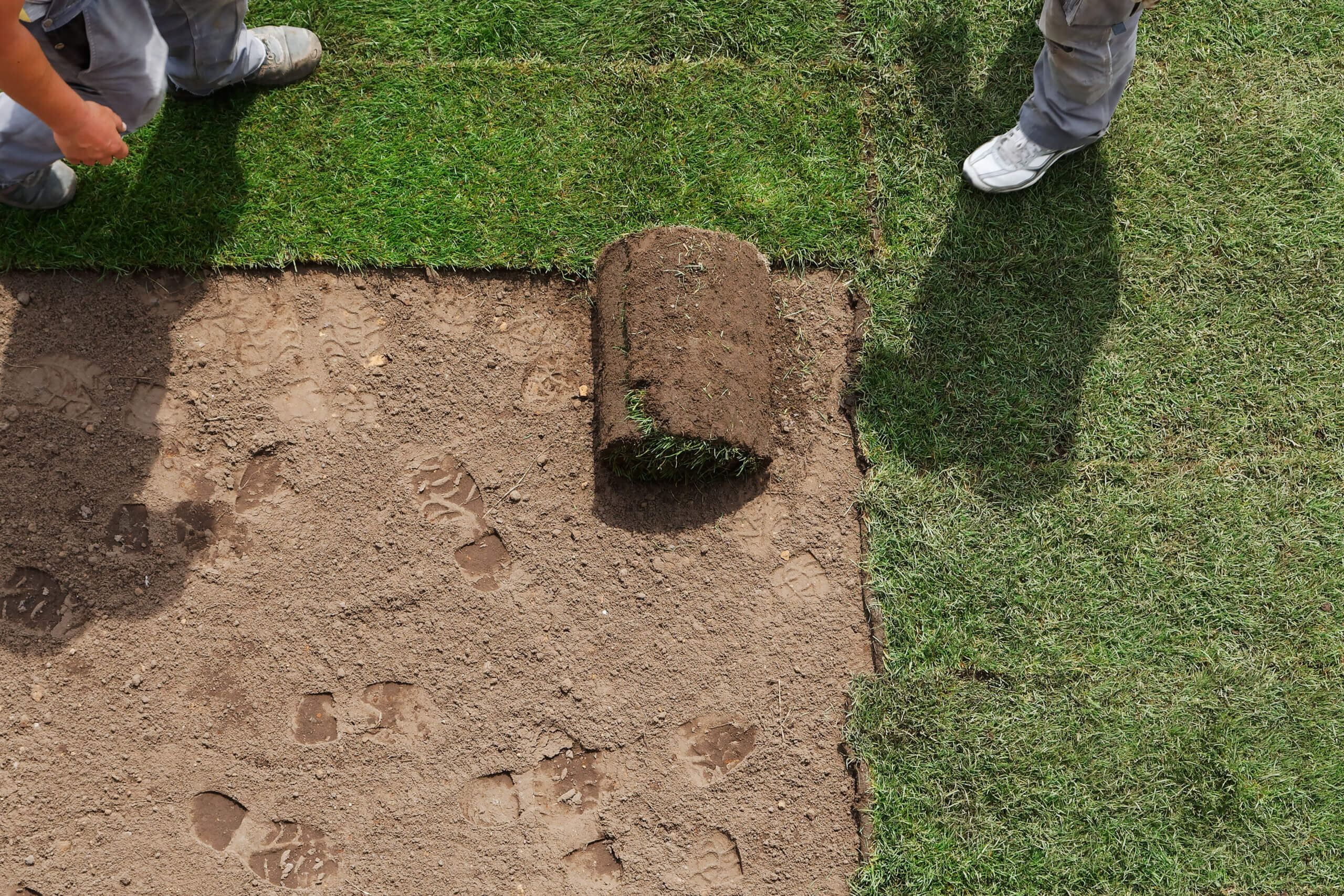 Sod Installation: Timing, Techniques, and Common Pitfalls to Avoid ...
