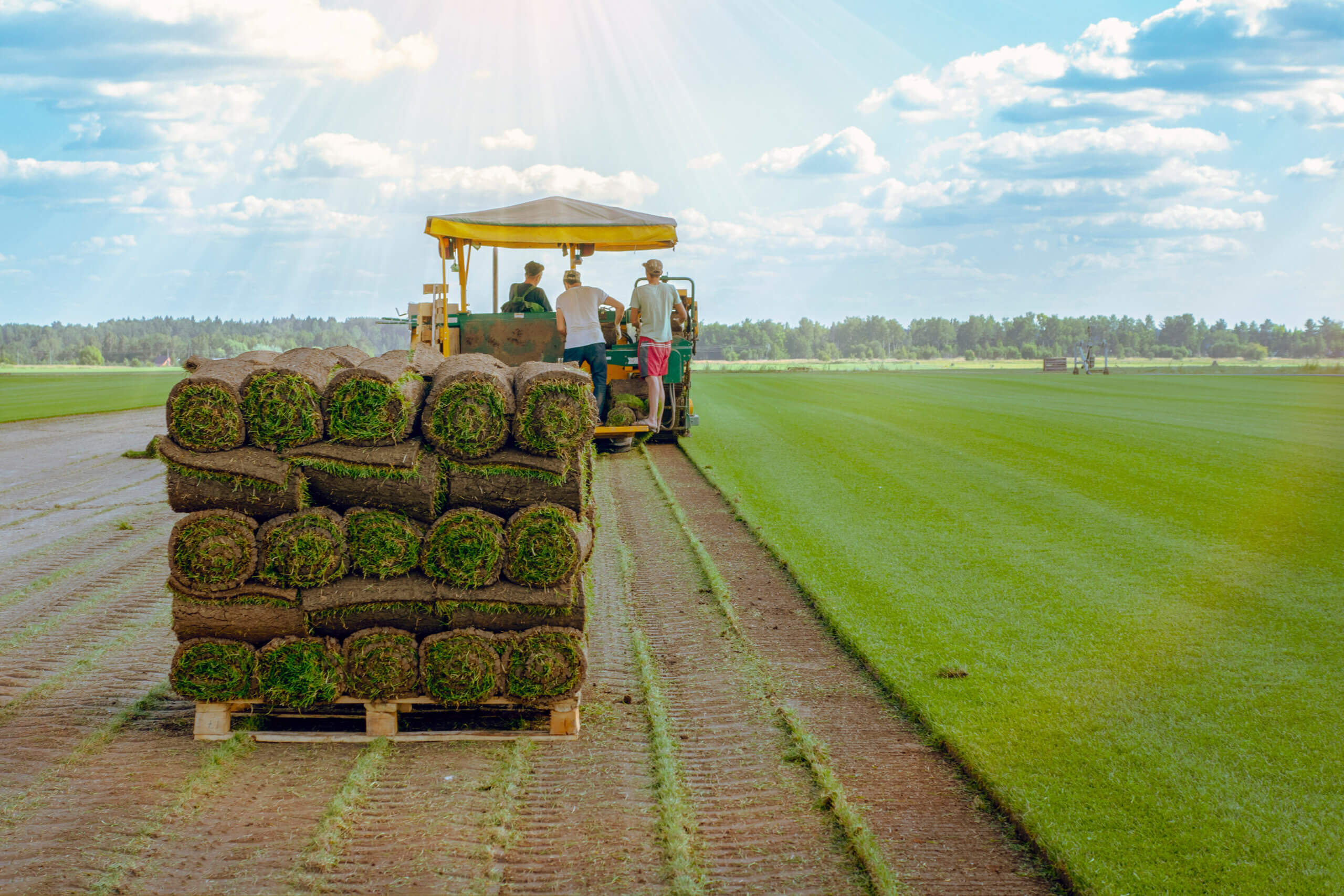 Choosing the Right Sod Supplier Professional | Duda Sod